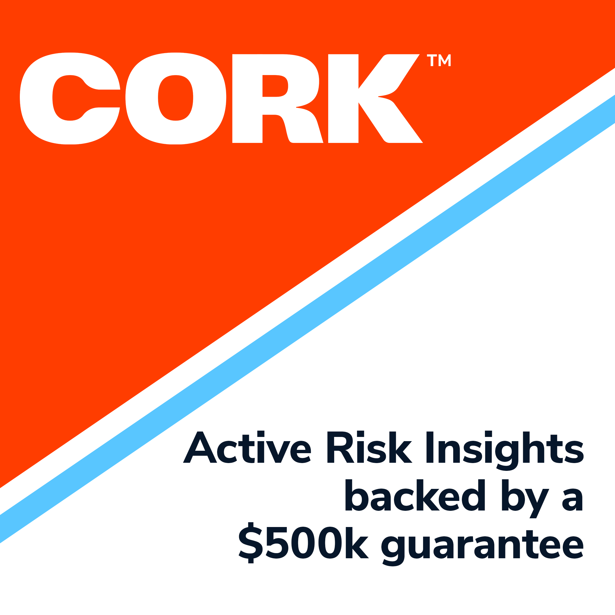 Partner Up With Cork | CORK Cyber Protection Protection