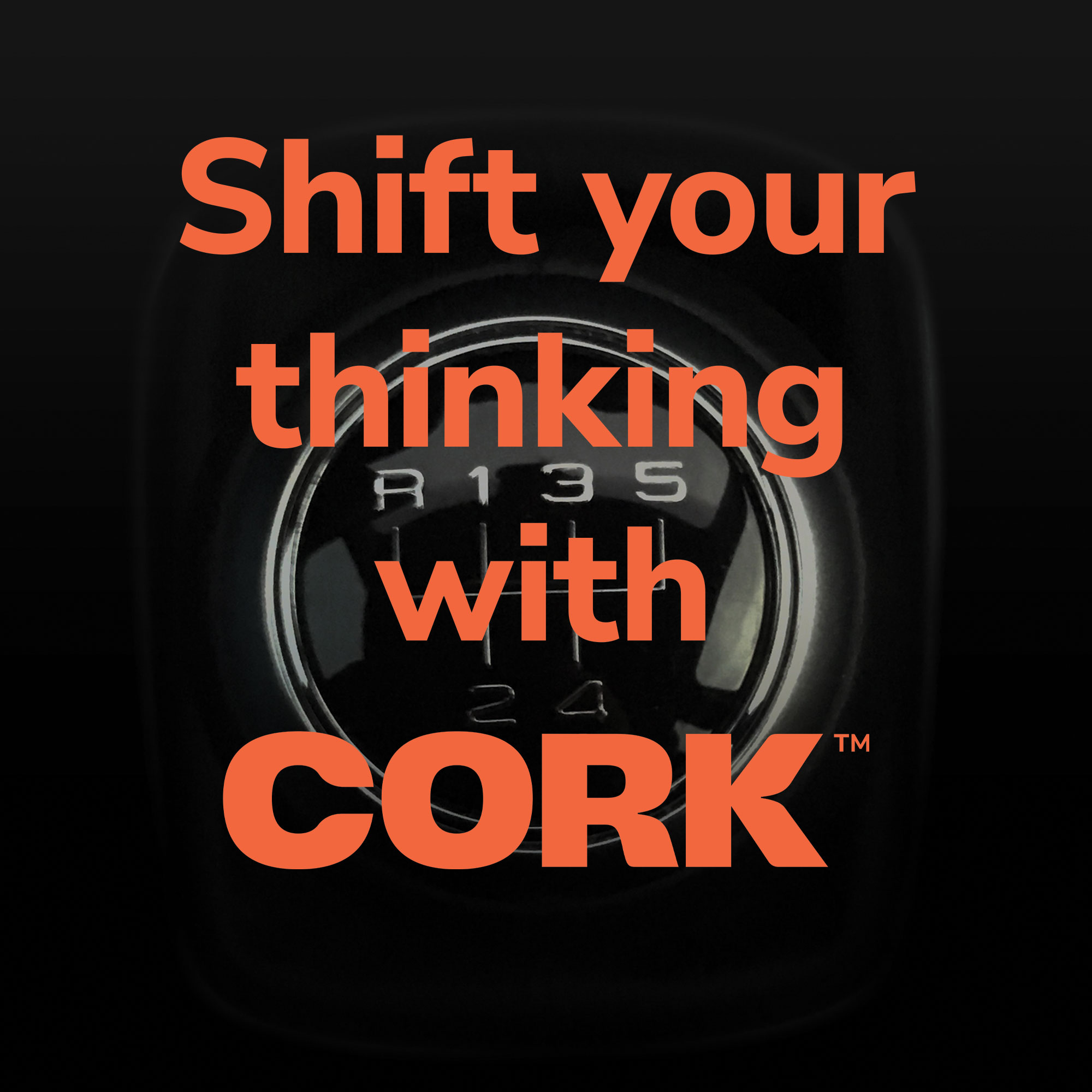Cork is the super-connector for risk insights and financial protection